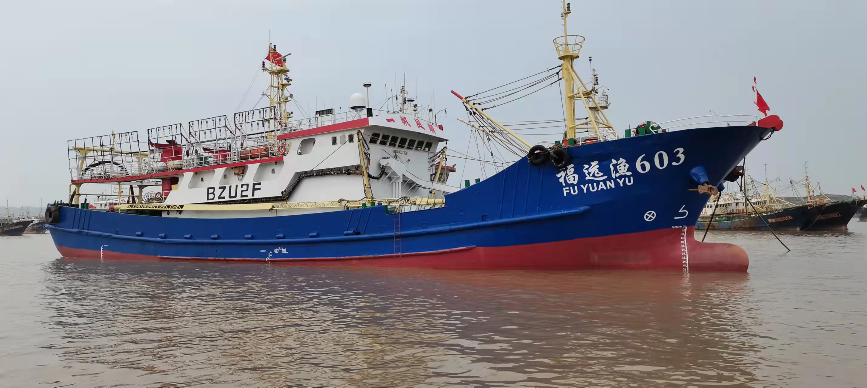 Fu Yuan Yu 603 | NPFC